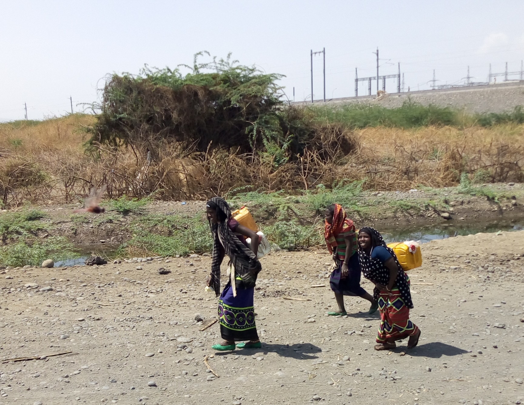 From Hope to Despair: The Deepening Marginalization and Suffering of ...